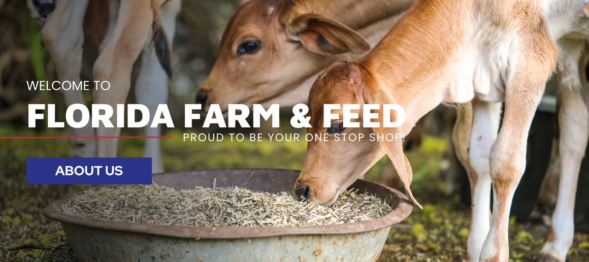 Animal Feed Store - Tallahassee, FL | Florida Farm & Feed