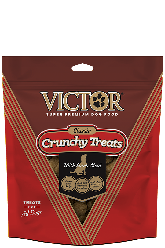 Victor Crunchy Dog Treats with Lamb Meal - Tallahassee, FL - Florida ...